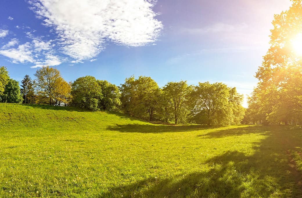 Inherited Land: Keep or Sell? - The Ginther Group